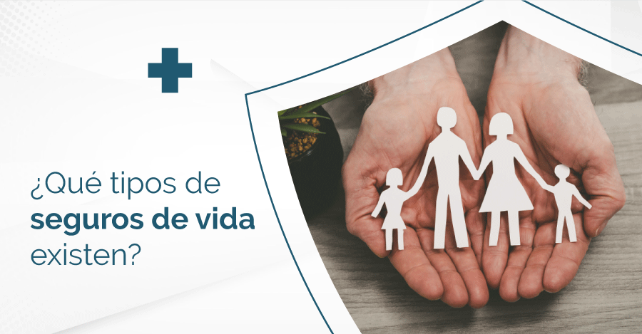 ¿Qué tipos de seguros de vida existen?